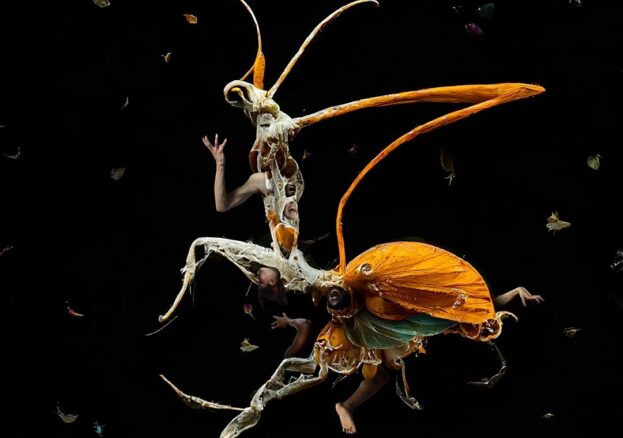 Frantic Assembly :: A-Level Theatre Studies Blog